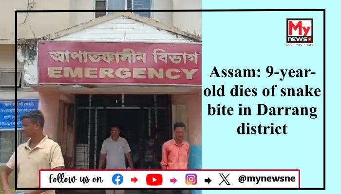 Assam: Death of Nine-Year-Old Girl from Snakebite Exposes Healthcare Failures in Darrang ...