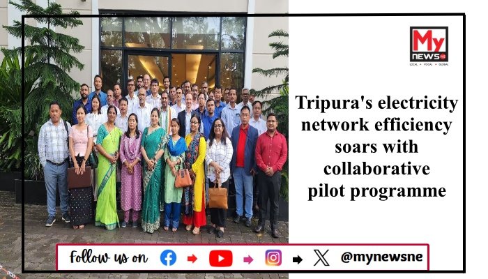 Tripura Power Department Celebrates Success of Distribution Network ...